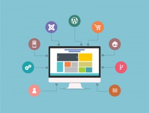 Custom build these great software tools in house or better outsource!